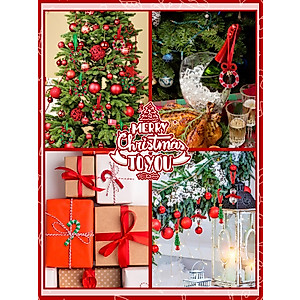 Lanstics 60 Sets Christmas Craft Beaded Ornament Kit Including 18PCS Wreath/18PCS Candy Cane/12PCS Snowmen/12PCS Christmas Tree for Xmas Craft Tree Decorations Adults Holiday Party (Assembly Needed)