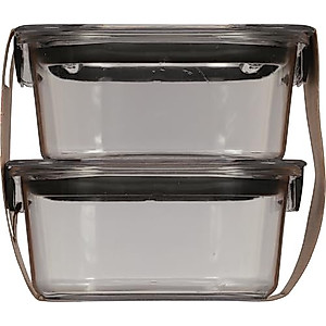 Rubbermaid Brilliance Food Storage Container, Medium, 3.2 Cup, Clear, 2-Pack (2025333)