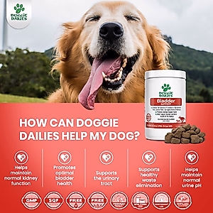 Doggie Dailies Cranberry Supplement for Dogs, 225 Soft Chews, Urinary Tract, Bladder & Kidney Support for Dogs, Cranberry for Dogs with Marshmallow Root, Licorice Root & Apple Cider Vinegar (Chicken)