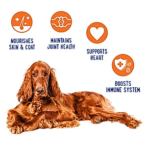 iHeartDogs Salmon Oil for Dogs and Cats - Nourishing Skin & Coat Omega 3 Fish Oil for Dogs Supports Allergy & Itch Relief, Heart Health and Joint Health - 32 oz