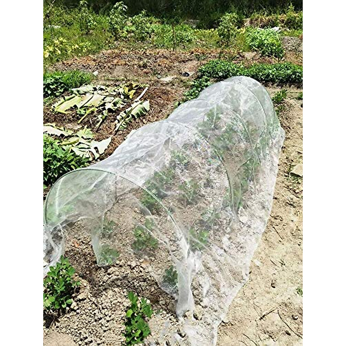 Hoop House Greenhouse Hoops Garden Hoops for Raised beds Garden Tunnel Hoops for Garden beds Grow Tunnel Hoop House kit Wire Hoops Garden Hoop Tunnel Garden Hoops for Row Cover Hoops 6.56ft (6Pack)