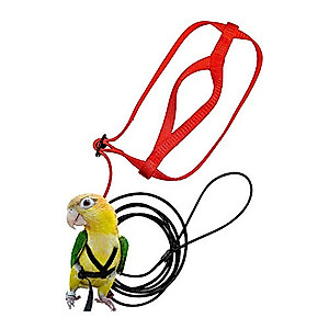 GFHFG Pet Bird Harness and Leash,Adjustable Parrot Bird Harness Leash - Pet Anti-Bite Rope Harness and Leash(M)