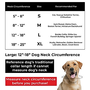 Choola Pet Shark Theme Inflatable Dog Cone Collar (Large) for After Surgery Care Bundled with Pump and Extra Tube