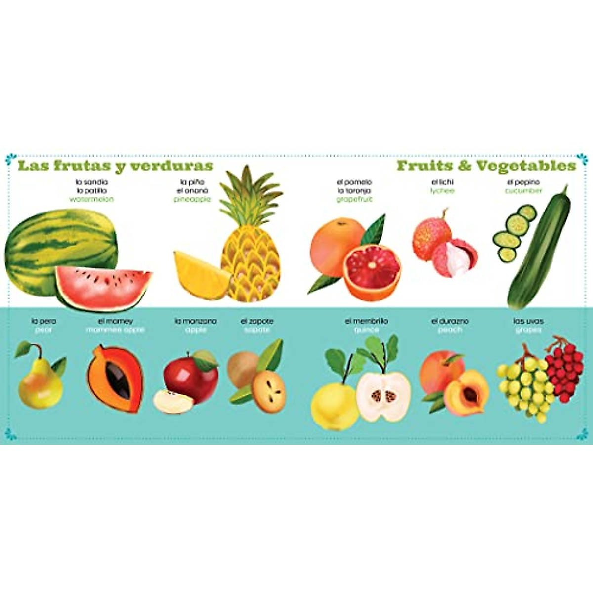 Tons of Palabras: Comida: An English & Spanish Book for kids to help them learn how words from those languages can be used each day.