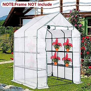 DECOHS Walk-in Greenhouse Replacement Cover with Roll-Up Zipper Door -56x56x76 inch PE Greenhouse Cover for Outdoor Plant Gardening Plants Cold Frost Protection Wind Rain Proof(Frame Not Include)