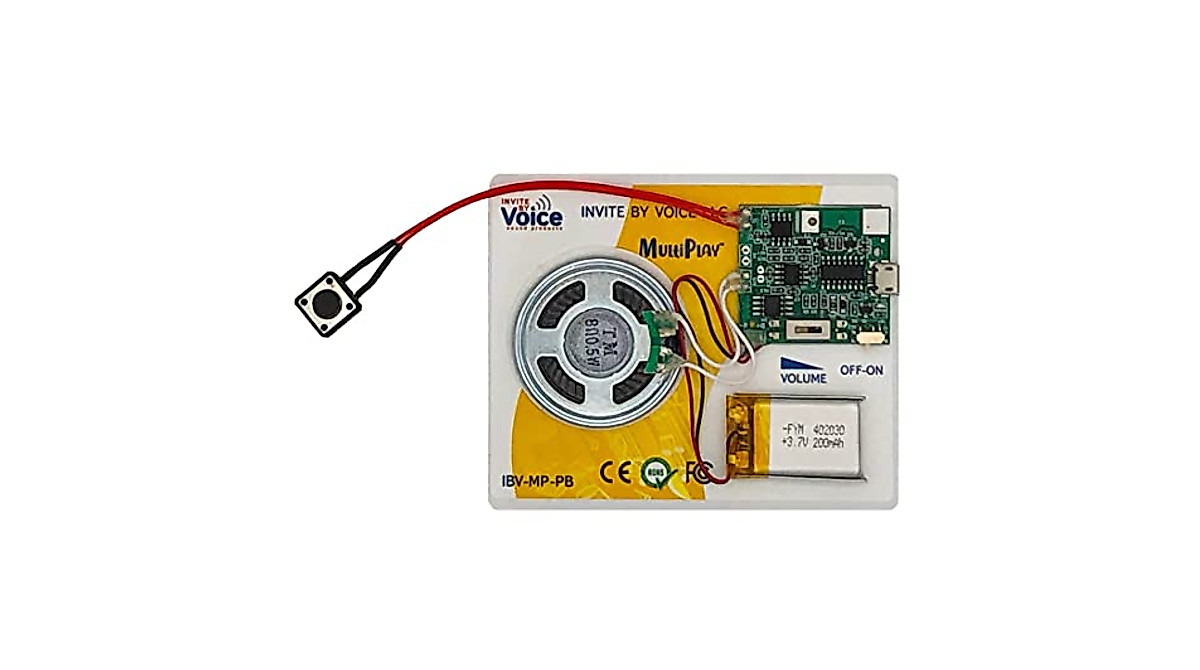 EZSound Multiplay Recordable Sound Chip - Easy MP3 Voice Recorder