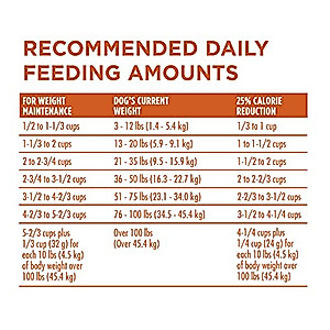 Purina ONE Plus Healthy Weight High-Protein Dog Food Dry Formula - 16.5 lb. Bag