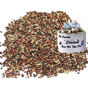 Bonsai Succulent Soil Potting Mix Ready to use Azalea Orchid Grow Potting Soil Plant Decorative Cover for Cactus 2.2LB Perlite Pumice Lava Rocks for Plants