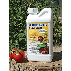 Monterey Lawn & Garden Insect Spray Multiple Insects Liquid Concentrate Spinosad 1 Pt
