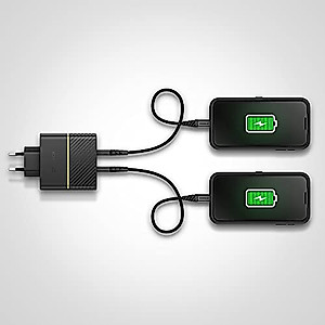 OtterBox USB-C Dual Port Fast Charge Wall Charger, 50W Combined (USB-C 30W + USB-C 20W) - BLACK SHIMMER