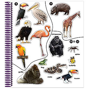 Brain Games - Sticker by Number: Safari Animals (For Kids Ages 3-6): A Kid's Sticker Activity Book With More Than 150 Stickers!