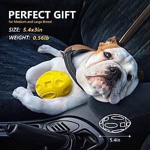 EASTBLUE Squeaky Dog Toys for Aggressive Chewers: Rubber Puppy Chew Ball with Squeaker, Almost Indestructible and Durable Pet Toy for Medium and Large Breed
