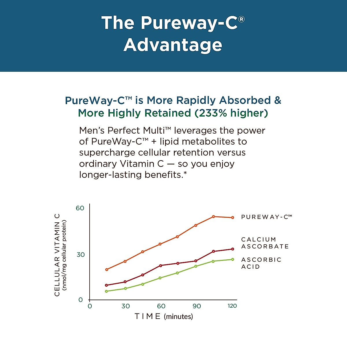 Purity Products Men's Perfect Multi from Vitamins, Minerals and Phytonutrients - Promotes Energy, Vitality and Stamina - Easy to Swallow - 90 Tablets