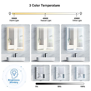 Mepplzian Black Medicine Cabinet with Mirror,Lighted Medicine Cabinet with Light,Led Medicine Cabinet Mirror,Mirrored Black Medicine Cabinets for Bathroom Wall Mounted, 20 x 28 Inch