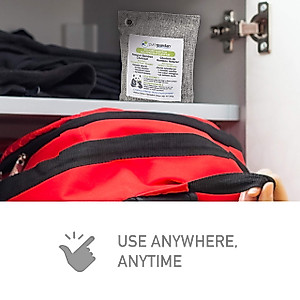 PureGuardian CB200 Bamboo Charcoal Air Purifying Bag, Eco-Friendly, Naturally Absorbs Odors, Excess Moisture and Pollutants, 200g, 4-Pack, Gray