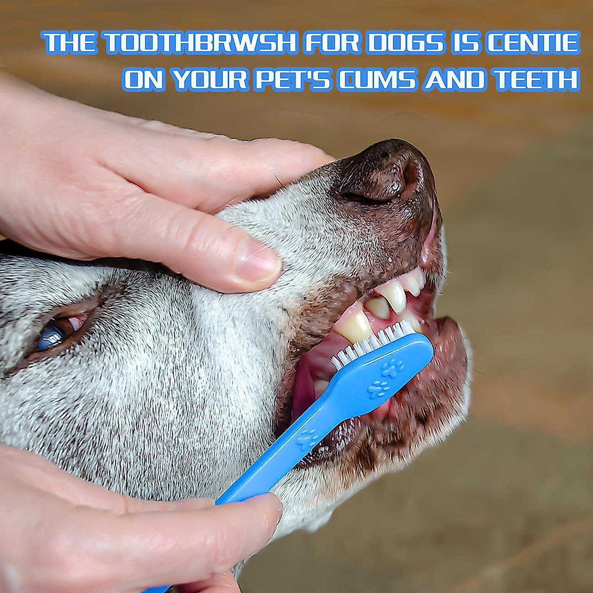 Mozeat Lens Dog Toothbrush Set of 8 Double Headed Pet Dog Toothbrush for Small to Large Dogs Cat Toothbrush to Clean pet Teeth Dog Tooth Brushes, Easy Teeth Cleaning & Dental Care