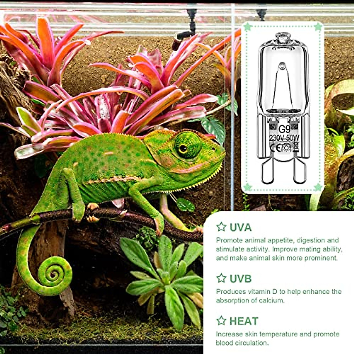 12 Pcs Mini Halogen Bulb Reptile Light G9 Uvb Bulbs Lamp Basking and Night Time Bulb Halogen Bulbs Beads Heat Lamp for Reptiles (50 Watts)