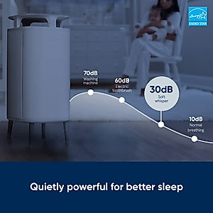 BLUEAIR Air Purifier Large Room, Table Top Air Cleaner for Dust Pet Dander Smoke Mold Pollen Bacteria Virus Allergen, Odor Removal, Home Bedroom Living Room, Alexa, Auto, HEPASilent, DustMagnet 5410i