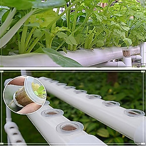 100Pcs Hydroponic Sponge Planting Tool Square Sponges for Greenhouse Hydroponic Sponge