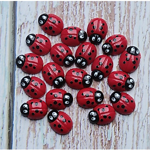 Sowaka 20 Pcs Ladybug Ornaments Tiny Resin Flatback Embellishment Fake Ladybird Decor for Hair Clip DIY Craft Art Project Home Garden Decoration Supplies Jewelry Making Scrapbooking (Small - Ladybug)