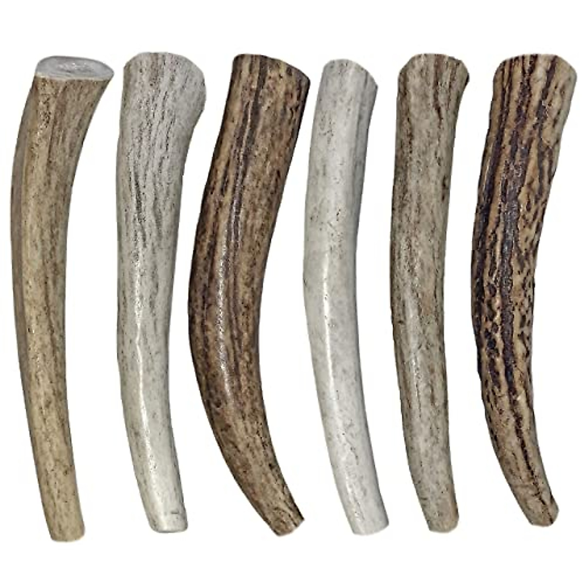 WhiteTail Naturals - Antlers for Small Dogs (6 Pack) Deer Antler Dog Chew Bones for Small to Medium Aggressive Chewers - Long Lasting Horn Chew Toys - Naturally Shed