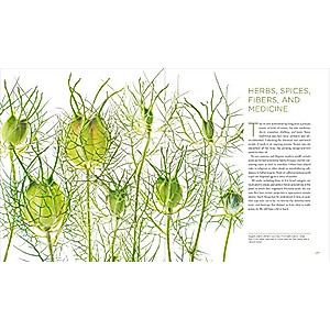 Seeing Seeds: A Journey into the World of Seedheads, Pods, and Fruit (Seeing Series)