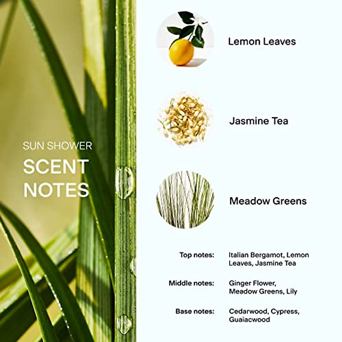 Skylar Sun Shower Eau de Parfum - Hypoallergenic & Clean Perfume for Women & Men, Vegan & Safe for Sensitive Skin - Woody Citrus Perfume with Notes of Lemon, Jasmine & Meadow Greens - 10mL /0.33 Fl oz