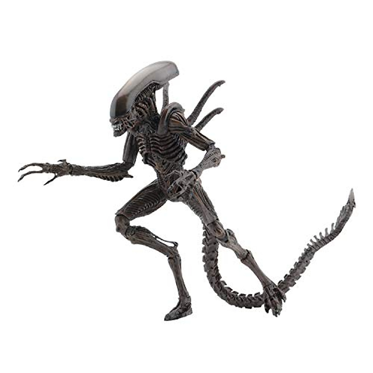 NECA Aliens - 7" Scale Action Figure - Series 14 - Alien Resurrection Warrior