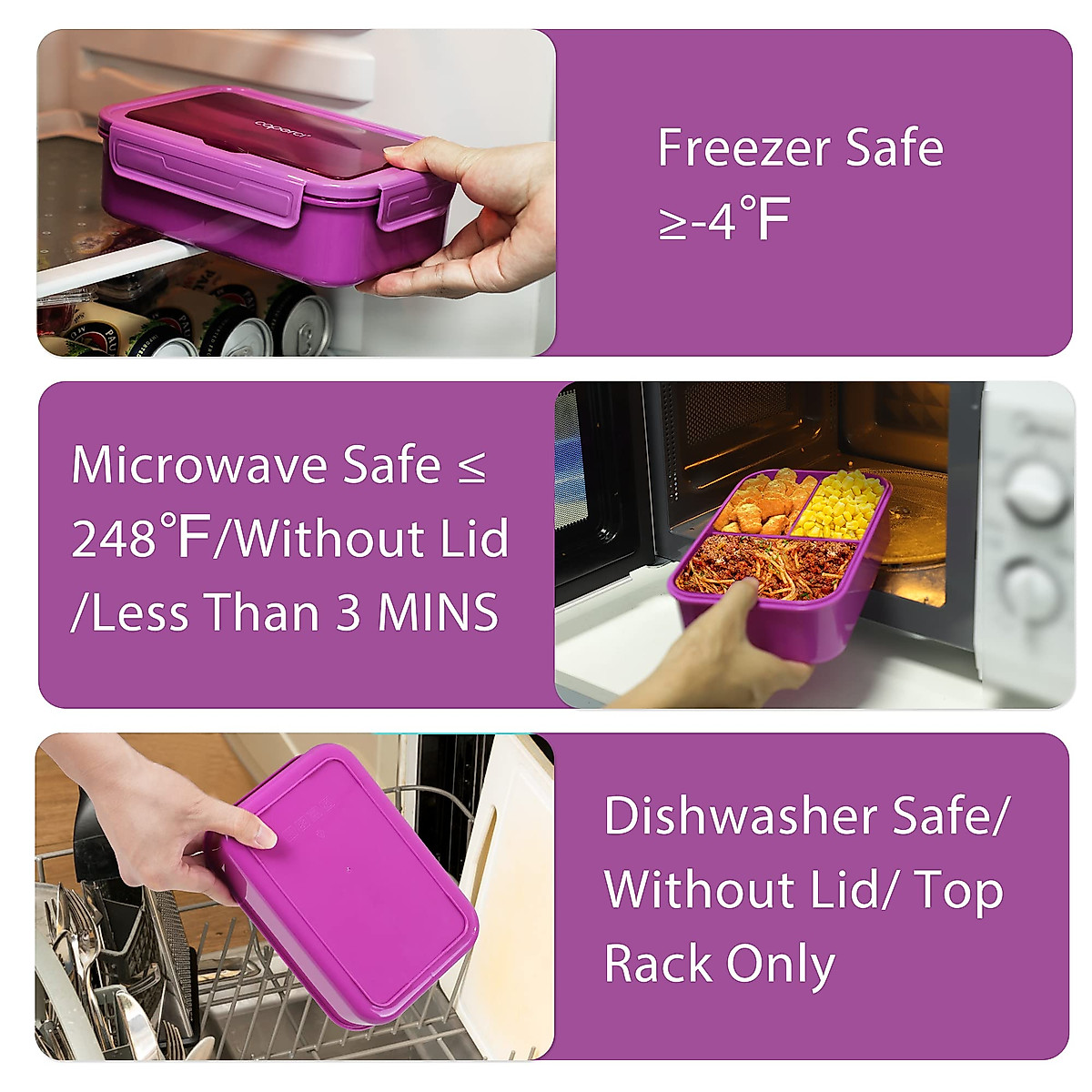 Caperci Classic Bento Lunch Box for Adult & Older Kids - Leakpoof 47 oz 3-Compartment Lunch Containers for Adults and Teens, Built-in Utensil Set, Ideal for On-the-Go, Purple