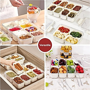 LIBOWANGLUO-US Snackle Box Charcuterie Container, Divided Serving Tray with Lid and Handle, Portable Snack Platters for Fruit, Nuts, Candy, Entertaining, Party, Picnic, Transparent