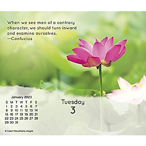 2023 Zen Day-at-a-Time Box Calendar