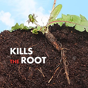 Spectracide Weed & Grass Killer Concentrate, Use On Driveways, Walkways and Around Trees & Flower Beds, 64 fl Ounce