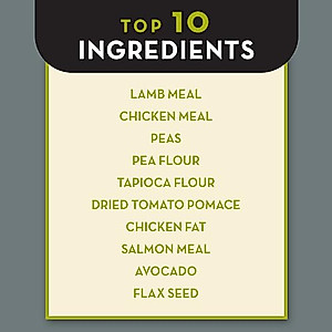 AvoDerm Natural Advanced Senior Health Grain Free Lamb Formula Dry Dog Food 4 lb