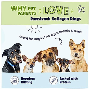 Pawstruck Natural Beef Collagen Rings for Dogs - Vet-Approved Long Lasting Alternative to Traditional Rawhide & Bully Sticks - High Protein Dental Treat w/Glucosamine & Chondroitin - 3 Pack