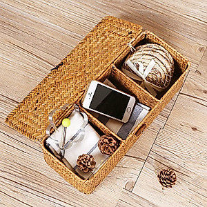 Seagrass Tank Basket with Lid Woven Toilet Roll Storage Basket with Sections Rectangular for Organize Snack Toys (Large Compartment 16.5inch L x 5.5inch W x 5.5inch H)