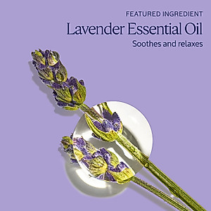 L'OCCITANE Lavender Foaming Bath: Relaxing and Cleansing Bubble Bath, Soothing Scent, with Lavender Essential Oil, 16.9 Fl. Oz Refill