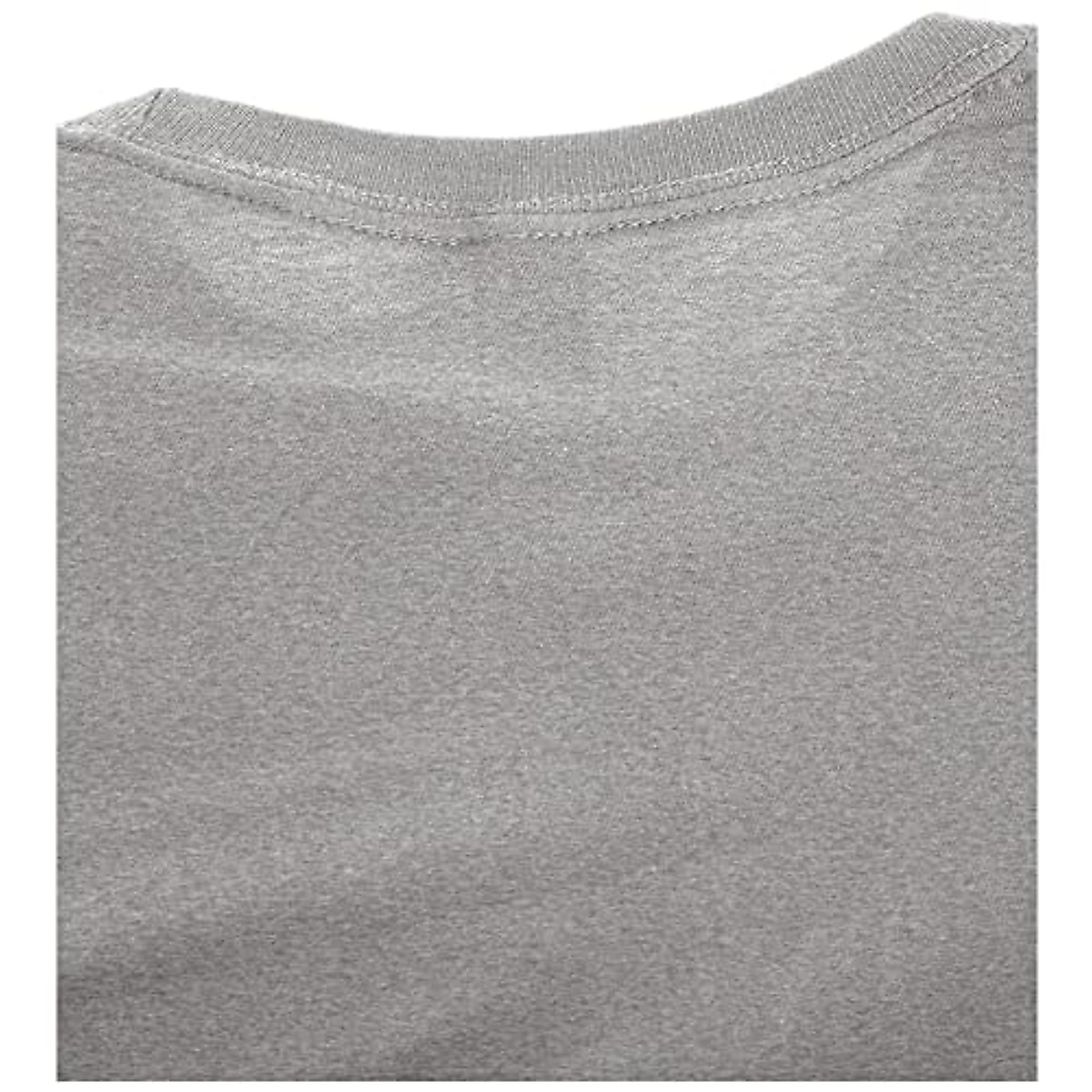 Hanes Men's Nano Premium Cotton T-Shirt (Pack of 2), Light Steel, Medium