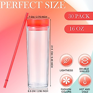 Hoolerry 30 Pcs Acrylic Skinny Tumblers 16 oz Acrylic Tumblers with Lids and Straws Double Wall Plastic Tumbler Skinny Tumbler Plastic Skinny Tumblers Bulk for Drink Party Birthday Gifts, Multicolor