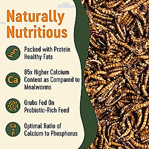 Supreme Grubs Natural Black Soldier Fly Larvae for Chickens, 85X More Calcium Than Mealworms-High Protein Grub Food Chicken Treats for Hens, Probiotic-Rich Chicken Feed, Calcium-Dense Bird Treat 5lb