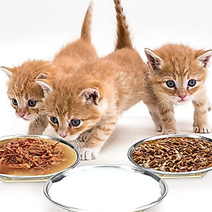 Stainless Steel Cat Dishes for Food and Water Bowls for Small Pets Relief of Whisker Fatigue -2 Sets Shallow Style