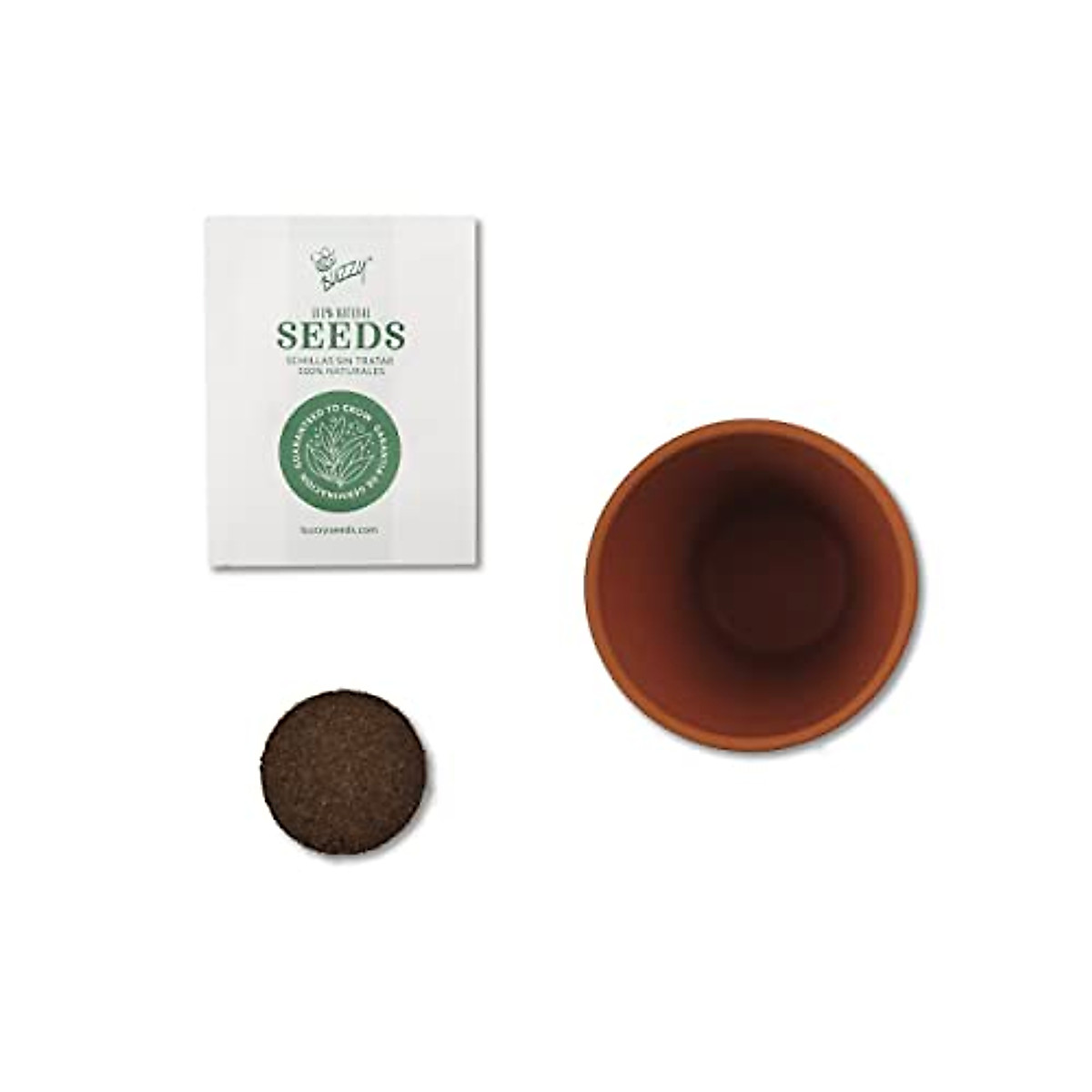 Buzzy® Terracotta Mini Grow Pots | Assorted 6-Pack | Daydream Collection | Sunflower, Daisy, Poppy, Cactus, Forget-Me-Not | Best Gardening Gifts and Favors | Growth Guaranteed