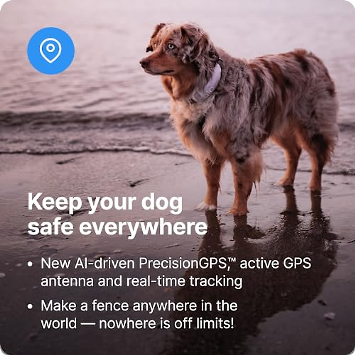 Halo Collar 3 - GPS Dog Fence - Multifunction Wireless Dog Fence & Training Collar with Real-Time Tracking & GPS - Waterproof, Instantly Create and Store Wireless Fences (Small, Graphite)