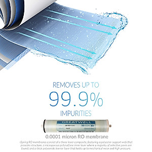 iSpring MCRO1000 RO Membrane Replacement Filter for Tankless Commercial Reverse Osmosis Water Filtration System CRO1000, 1000 GPD