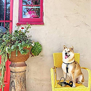 Pogi’s Dog Poop Bags - 30 Rolls (450 Doggie Poop Bags) - Leak-Proof Dog Waste Bags - Scented, Ultra Thick, Extra Large Poop Bags for Dogs