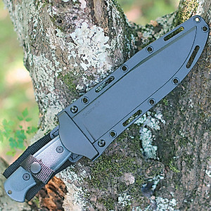 Cold Steel Drop Forged Survivalist 8" 52100 High-Carbon Steel Clip Point Fixed Blade EDC Tactical Hunting Utility Knife, 5" Ergonomic Handle, Weather-Resistant Secure-Ex Sheath