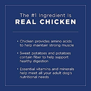 Natural Balance Limited Ingredient Diet Chicken & Sweet Potato | Adult Wet Grain-Free Canned Dog Food in Broth | 2.75 Ounce (Pack of 24)