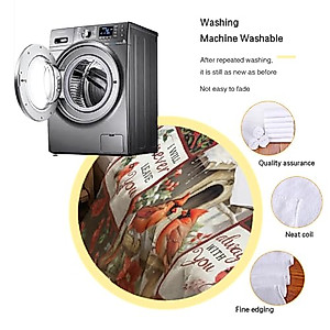 Cardinal Blanket, Cardinal Throw Blanket Ultra Soft Christmas Throw Blanket 40 X 50 Inches Lightweight Red Cardinal Bird Blanket for Sofa Bedding Home Cardinal Gifts for Women Men Children