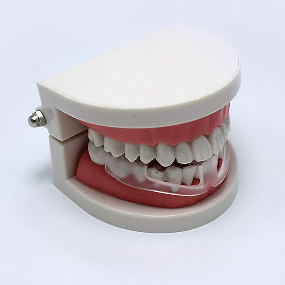 BESPORTBLE 4PCS EVA Food Grade Mouth Guard Dental Night Protector Tooth Grinding Guard for Sleep Men Women