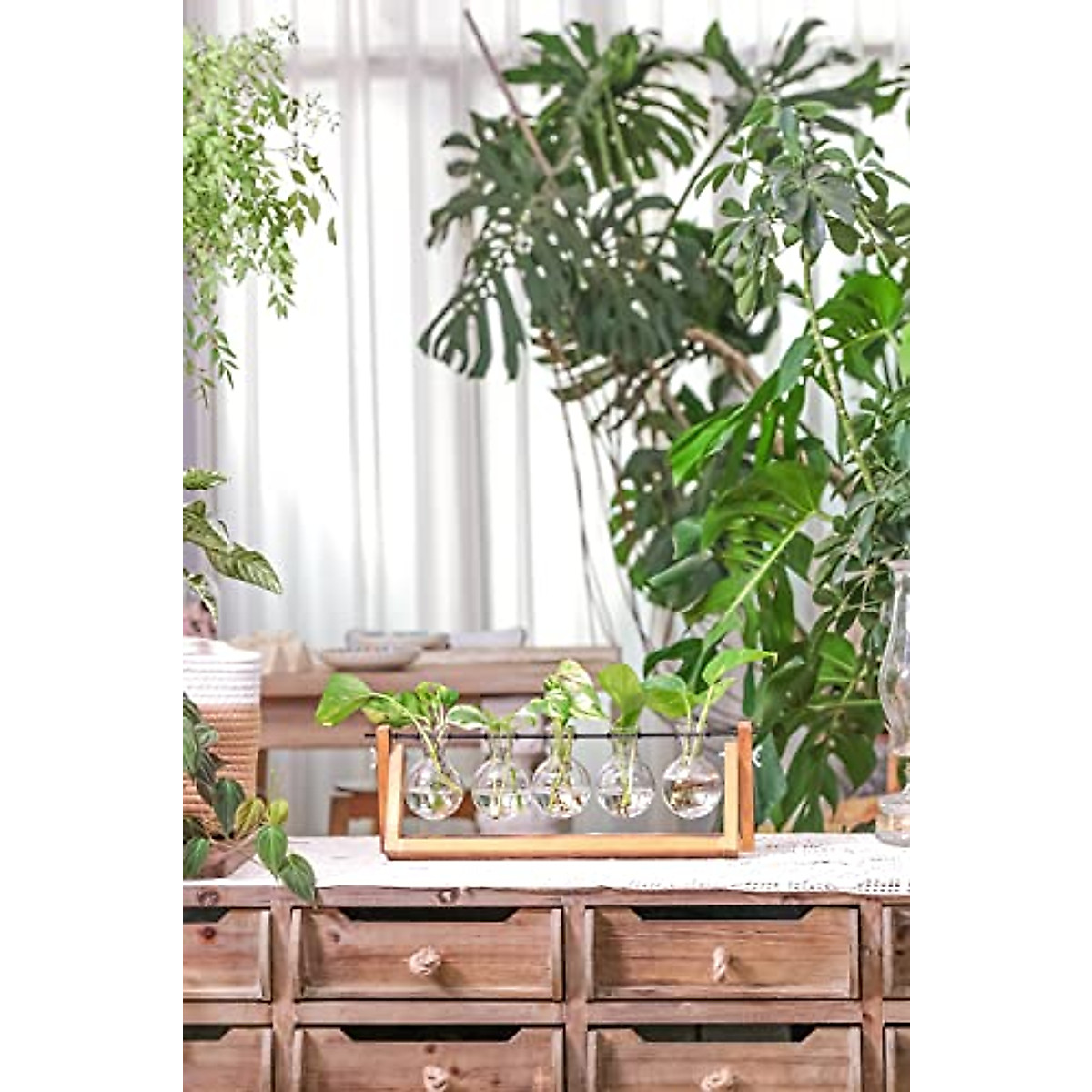 Ivolador Desktop Glass Bulb Plant Terrarium with Retro Solid Wooden Stand and Metal Swivel Holder for Hydroponics Plants Home Garden Wedding Decor (5 Bulbs)