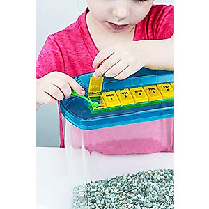 PENN-PLAX Rite-Bite Educational Betta Tank – A Perfect First Aquarium for Children with Adult Supervision – 1.13 Gallon